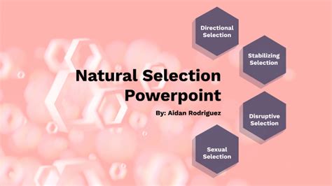 Natural Selection Powerpoint By Aidan Rodriguez On Prezi