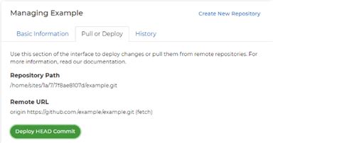 How Do I Use Git Version Control In My20i 20i Support Database