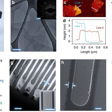 Schematic Illustration Of Direct Mxene Ink Printing The Ti3c2tx