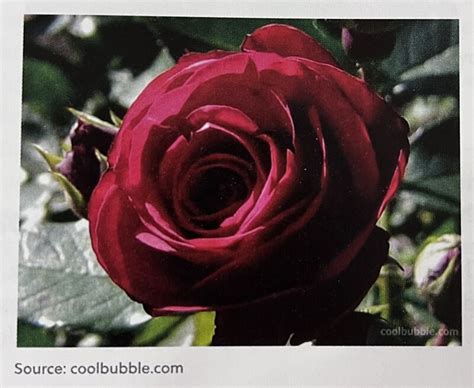 Jialin Li On Linkedin Morning Read About Communications “communication Is A Process Of…