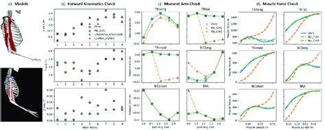 Validation Between The Converted Mujoco And Reference Opensim Models Download Scientific