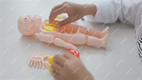Premium Photo Asian Girl Playing With Anatomical Dolls In A Doctor