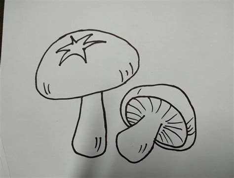 食品简笔画 健康食品简笔画 苗苗知道