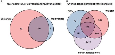 Figure S2 Overlapping Genes Displayed By Venn Diagram A Left And