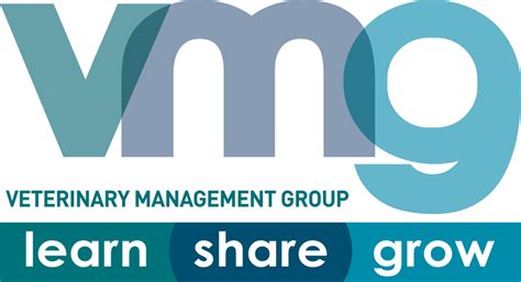 Vmg Logo Vmgs Investment Strategy Vernon Management