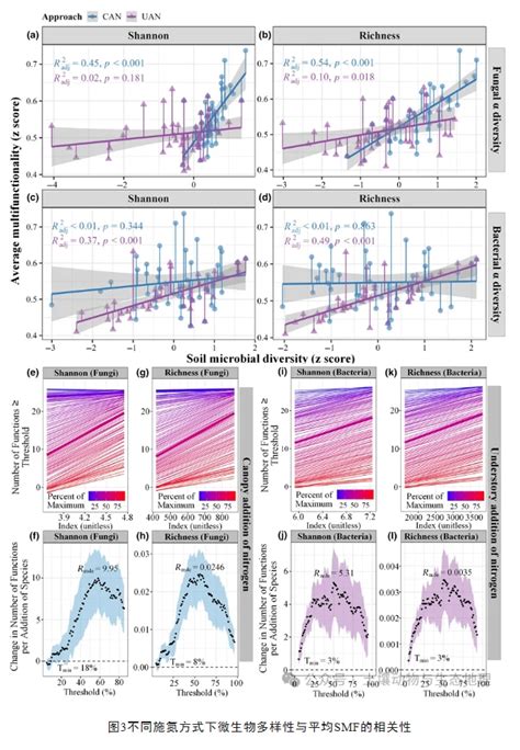 Gcb 河南大学傅声雷教授团队揭示林冠氮沉降提升土壤生态系统多功能性 河南大学地理科学学院