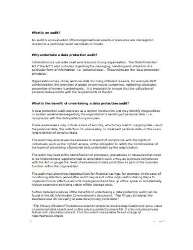 Data Audit Templates In PDF DOC