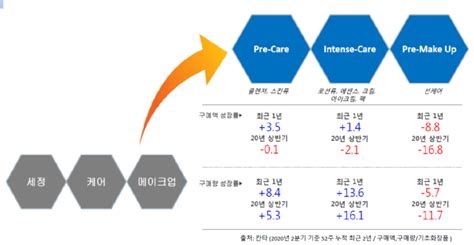 국내 화장품 시장 동향 스킨케어 헤어바디 네이버 블로그