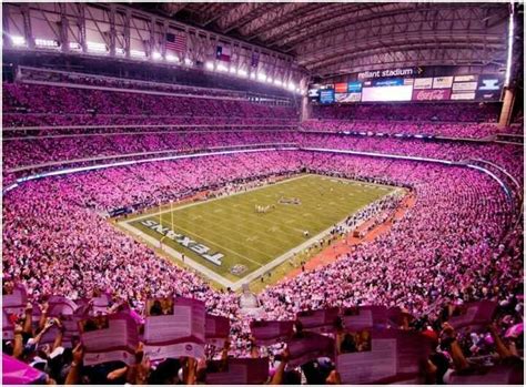Pink Reliant Stadium Inspiration Pinterest Houston Texans Football Houston Texans Texans