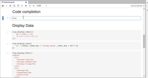 Usage — Xeus Lua Documentation