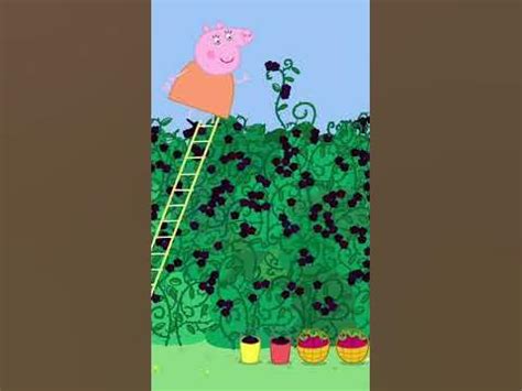 Oops Mummy Pig Climbs Into The Blackberry Bush Peppa Pig Official