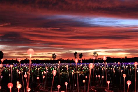 Why Should You Visit Bruce Munros Field Of Lights