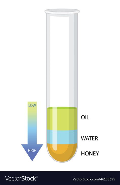 Density Of Liquids Science Experiment Royalty Free Vector