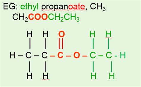 Ester Functional Group Examples Ester Functional Group Examples