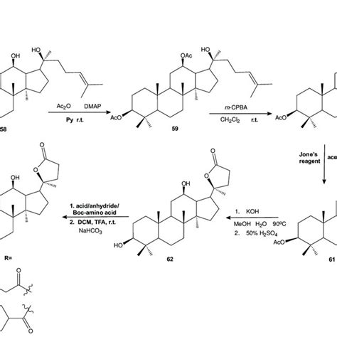 The Synthesis Of Lactones 63 And 64 Download Scientific Diagram