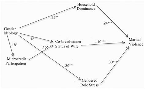Integrated Path Model Linking Gender Ideology Microcredit Download Scientific Diagram