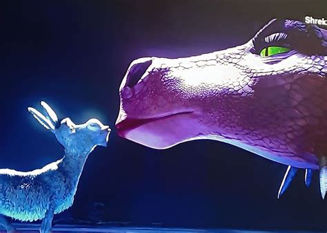 Pin By Mara Dempsey On Shrek In 2024 Donkey And Dragon Shrek Dragon
