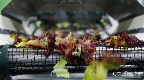 净菜配送从菜园到厨房一步到位，减轻食堂用工压力 知乎