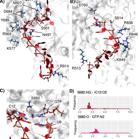 Main Interactions Between The Enzyme Residues With Blue Carbon Atoms Download Scientific