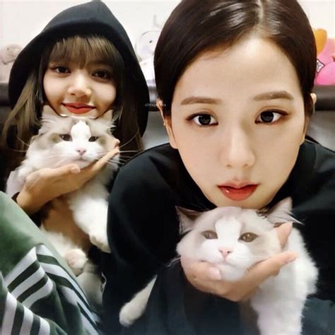 44 Kpop Idols With Cats Ideas Cats Lisas Cat Kpop