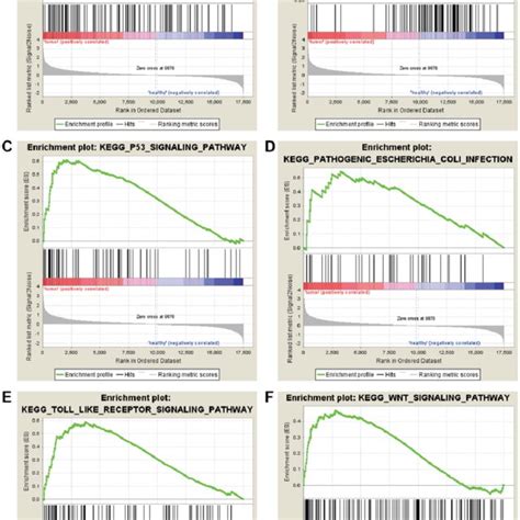 Kegg Enrichment Analysis For The Degs By Gsea A Jak Stat Signaling Download Scientific