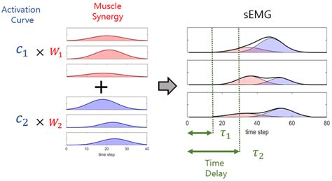 An Illustrative Example Of Time Varying Muscle Synergy In Case Of The Download Scientific