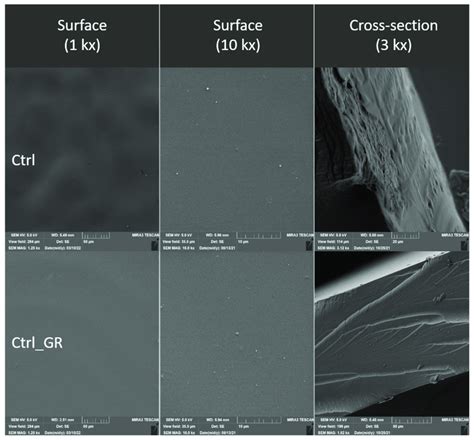 Surface And Fracture Microstructure Of Control Samples Of Edible