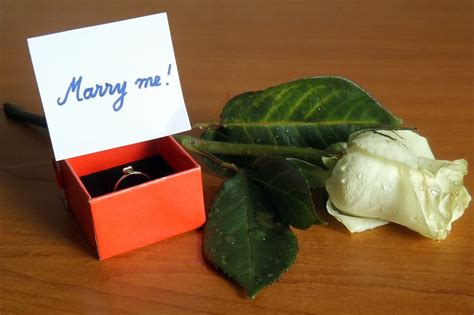 Marry Me Engagement Ring Rose Free Photo On Pixabay Pixabay