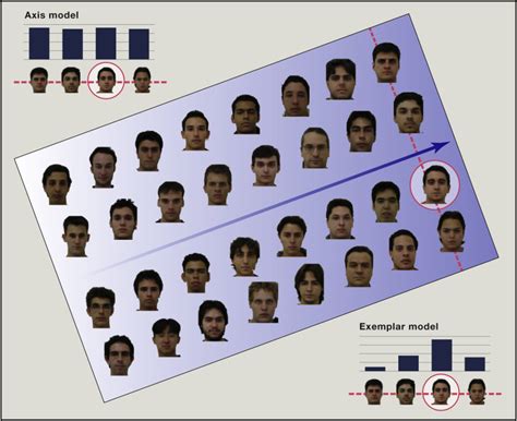 How Do We Recognize A Face Cell