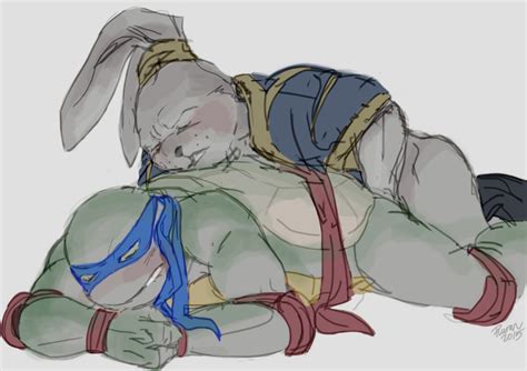 Rule 34 Blush Duo Fetch Lagomorph Leonardo Tmnt Leporid Male Male