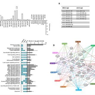 MiRNA Profiling And Corresponding Prediction Of Signaling Pathway Download Scientific Diagram