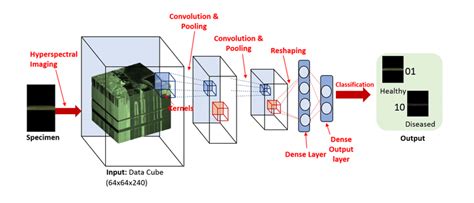 人工智能 5篇关于3d 卷积的最新论文推荐 Deephub Segmentfault 思否