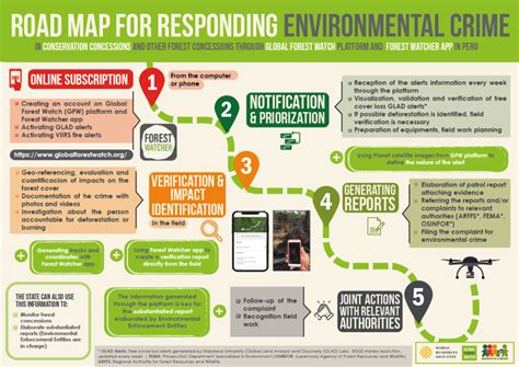 Ampa Tackles Environmental Crimes With Gfw Gfw Blog
