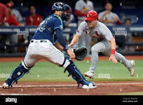 St Louis Cardinals Tommy Edman 19 Scores Around Tampa Bay Rays