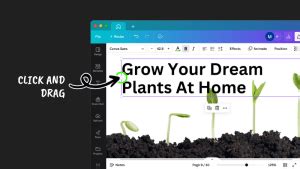 3 Easy Ways To Wrap Text In Canva
