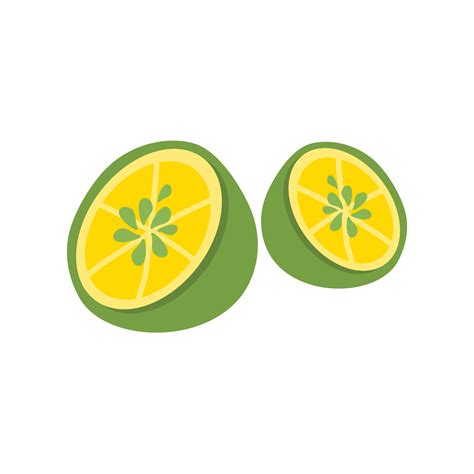Lime Citrus Slice Keruk Nipis 23079792 Vector Art At Vecteezy