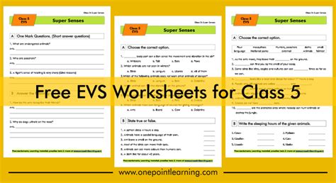 Free Worksheets Class 5 Evs Chapter 1 Super Senses Pdf