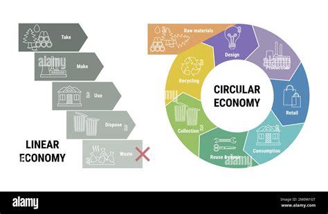 Comparison Of Linear And Circular Economy Infographic Scheme Of