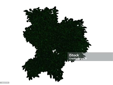 흰색 배경에 고립 된 녹색 가장자리와 개요 검은 나무의 3d 렌더링 0명에 대한 스톡 사진 및 기타 이미지 0명 공학 관목 Istock