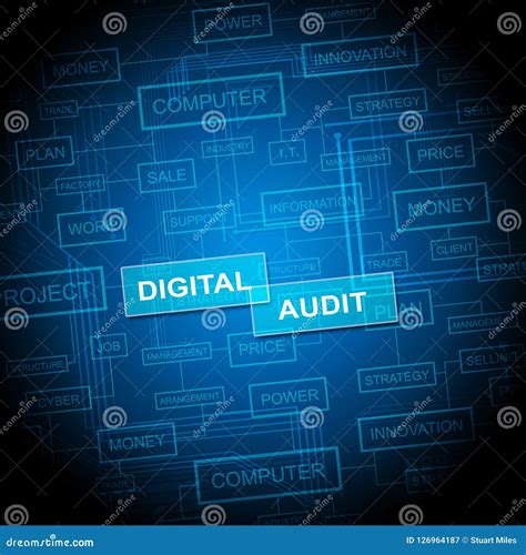 Digital Audit Cyber Network Examination 2d Illustration Stock Illustration Illustration Of