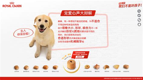 Royal Canin :: Behance