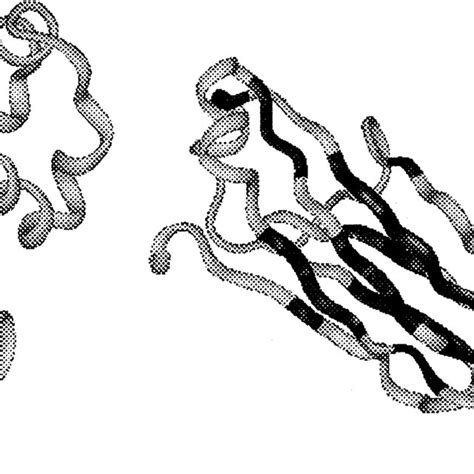 Proteins Representing Class All A Myoglobin Left And Class All B Download Scientific