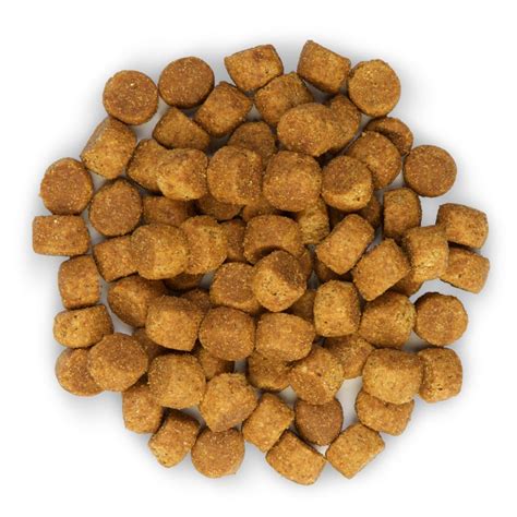 Сухой корм для кошек своими руками - картинки и фото koshka.top