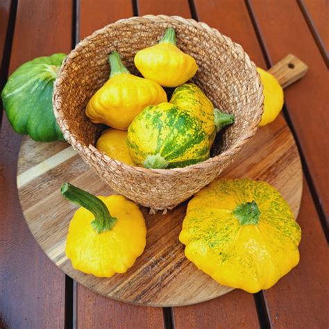 Patison Drobny 0 5 Kg Produkty Z Farmy