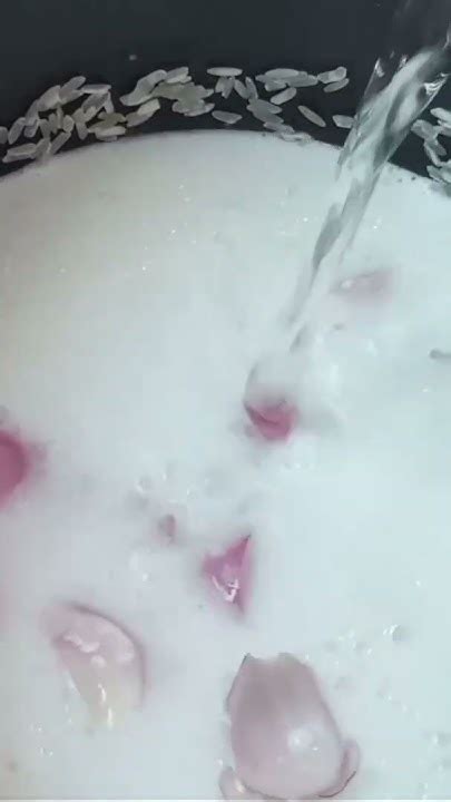 အုန်းထမင်း ကြက်သားဆီပြန် ငရုပ်သီး ကြော် အလွယ်ဆုံးချက်နည်း Deliciousfood Cooking Homemade