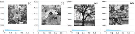 Figure 8 From High Security Image Encryption By Multiplexing Phase