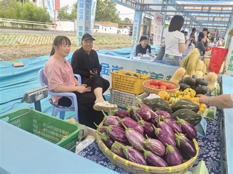 旅游 宁夏灵武市“黄河金岸 醉美梧桐”第三届 乡村文化旅游节签订农产品订单3417亿元tom旅游