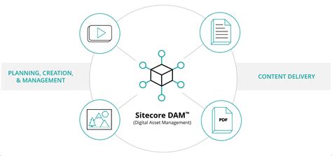 Manage Digital Assets Sitecore Documentation