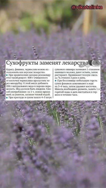 Сухофрукты заменят лекарства Youtube