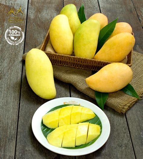 เมนูคลายร้อนที่ร้านเรือนมัลลิการ์ มีทั้งข้าวเหนียวมะม่วง ไอศกรีมข้าวเหนียวมะม่วง น้ำมะม่วงปั่น